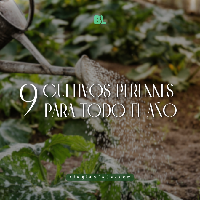9 cultivos perennes para todo el año – BlogLenteja